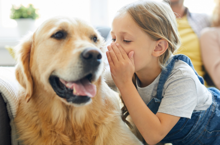 Can Pets help children and adults who have experienced Childhood Trauma ...